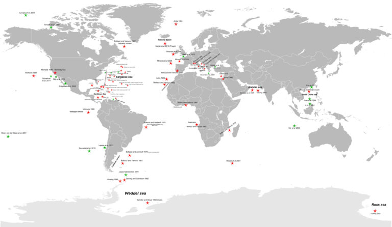 Photosymbiosis | About the Acantharia